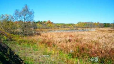 Holland-River-Diversion-Locks19.Jpg - Lock #2 And Resevoir - Ominous