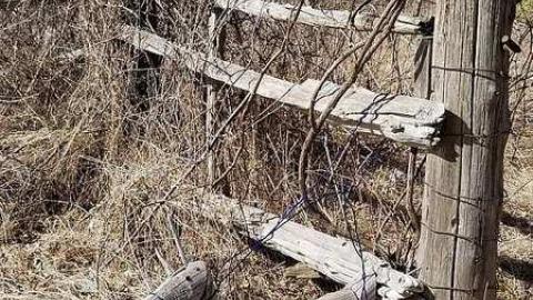 Road-Sign-Shack14.Jpg - Architectural Anomalies - Ominous