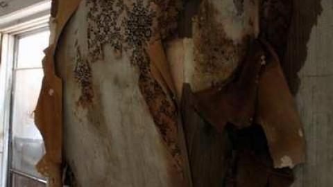 The-Lapp-House4.Jpg - '12 Visit - Ominous