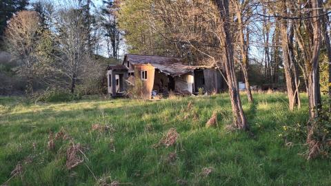 Union Mill Bando - Olympia, Washington - Ominous